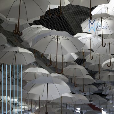 La Retribución del Curador: Todo lo que Debes Saber